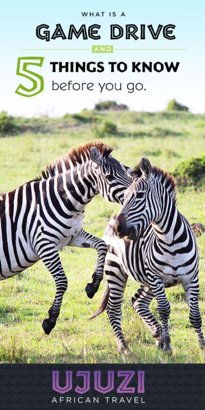What is a Game Drive? Plus Things to Know Before You Go | Ujuzi African ...